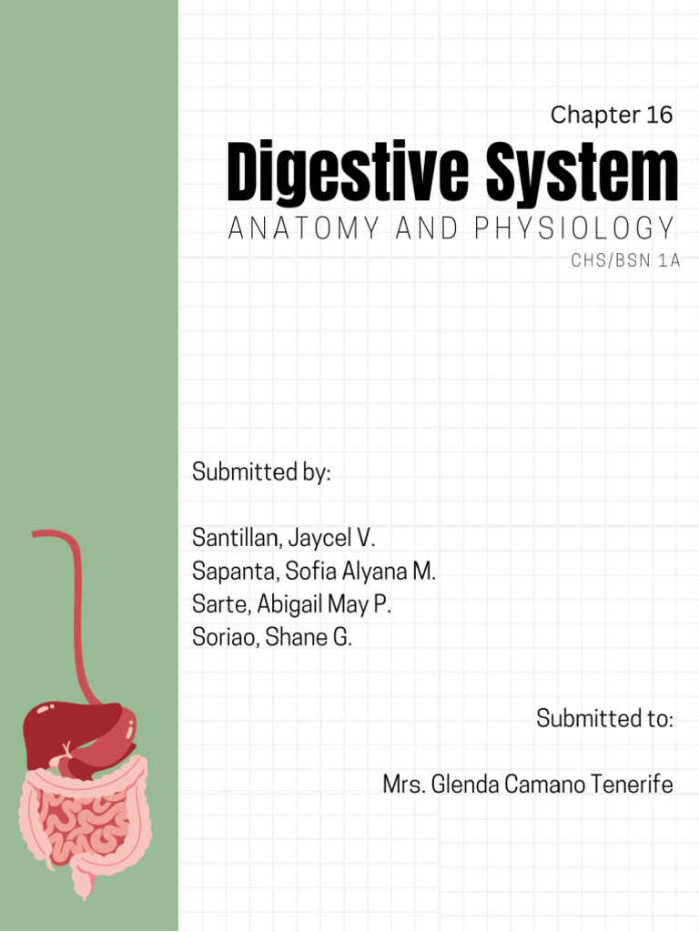Chapter 16 Digestive Summary Pdf