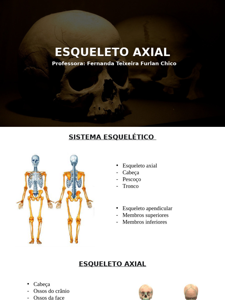 Esqueleto Axial | PDF