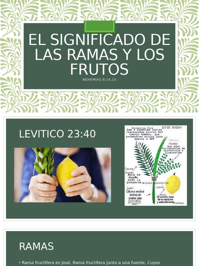 Significado de Ramas y Frutos | PDF | Creencia religiosa y doctrina ...