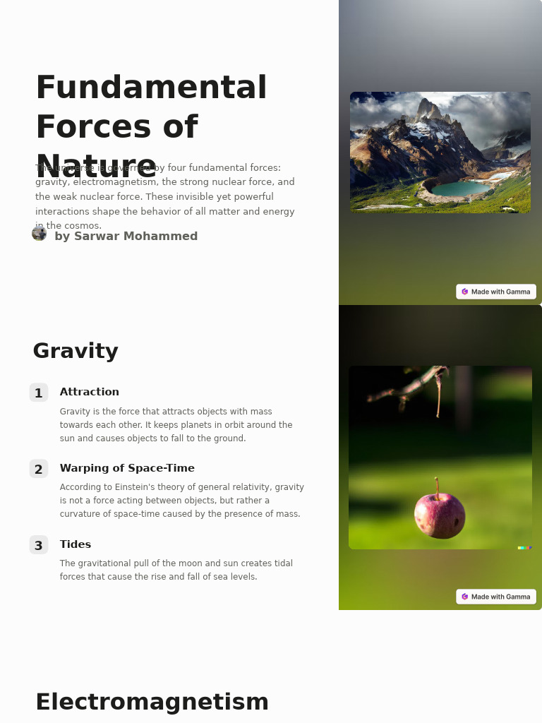 Fundamental Forces of Nature | PDF