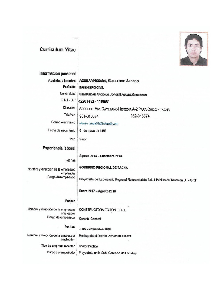 Modelo de Curriculum de Ing. Civil | PDF
