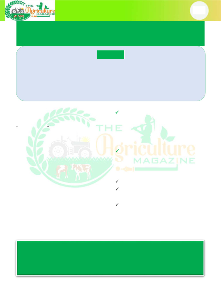 Chick Brooding Essentials | PDF | Chicken