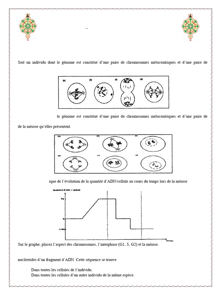 Td 1 Meiose Mitose Pdf