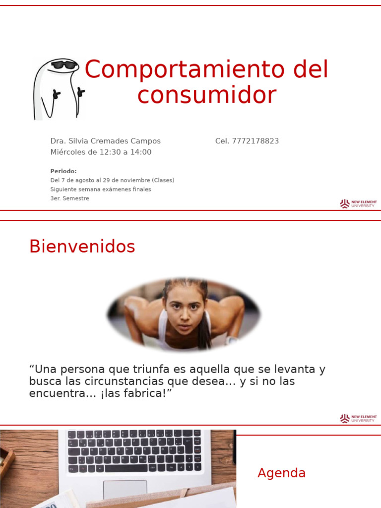 Presentación Comportamiento Del Consumidor | PDF