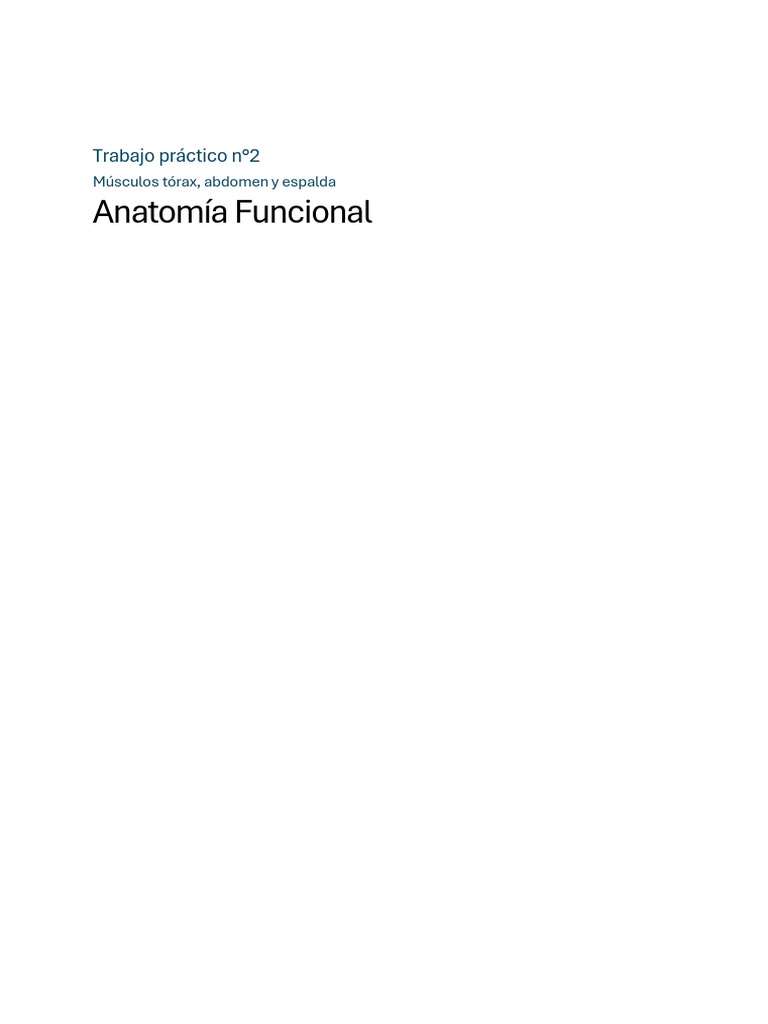 TP N°2 Anatomía Funcional | PDF