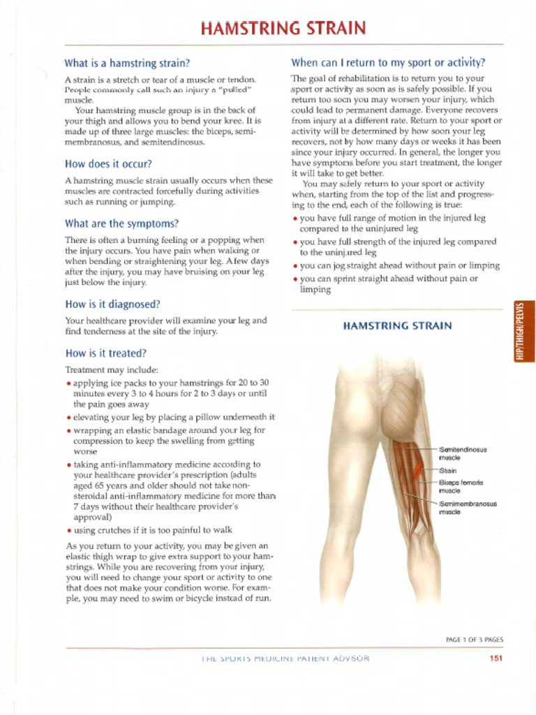 Hamstring Strain | PDF