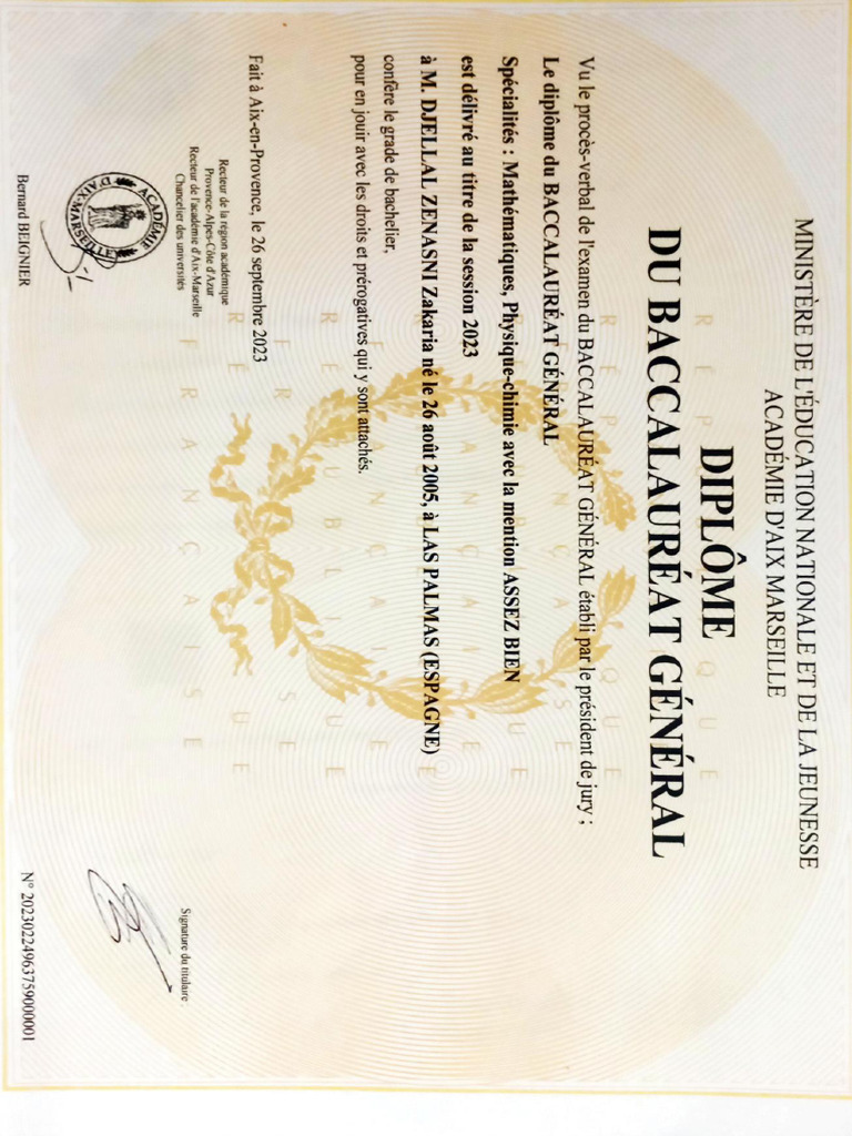 Diploma De Bachilerato Pdf