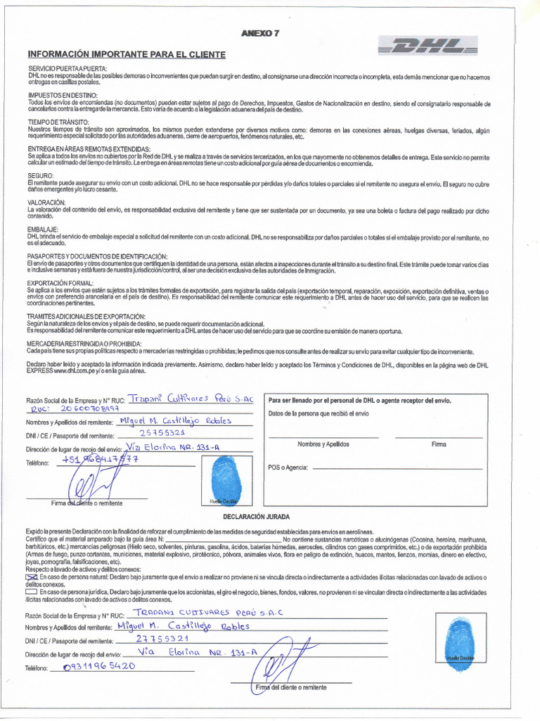 Declaración Jurada - ANEXO 07 | PDF