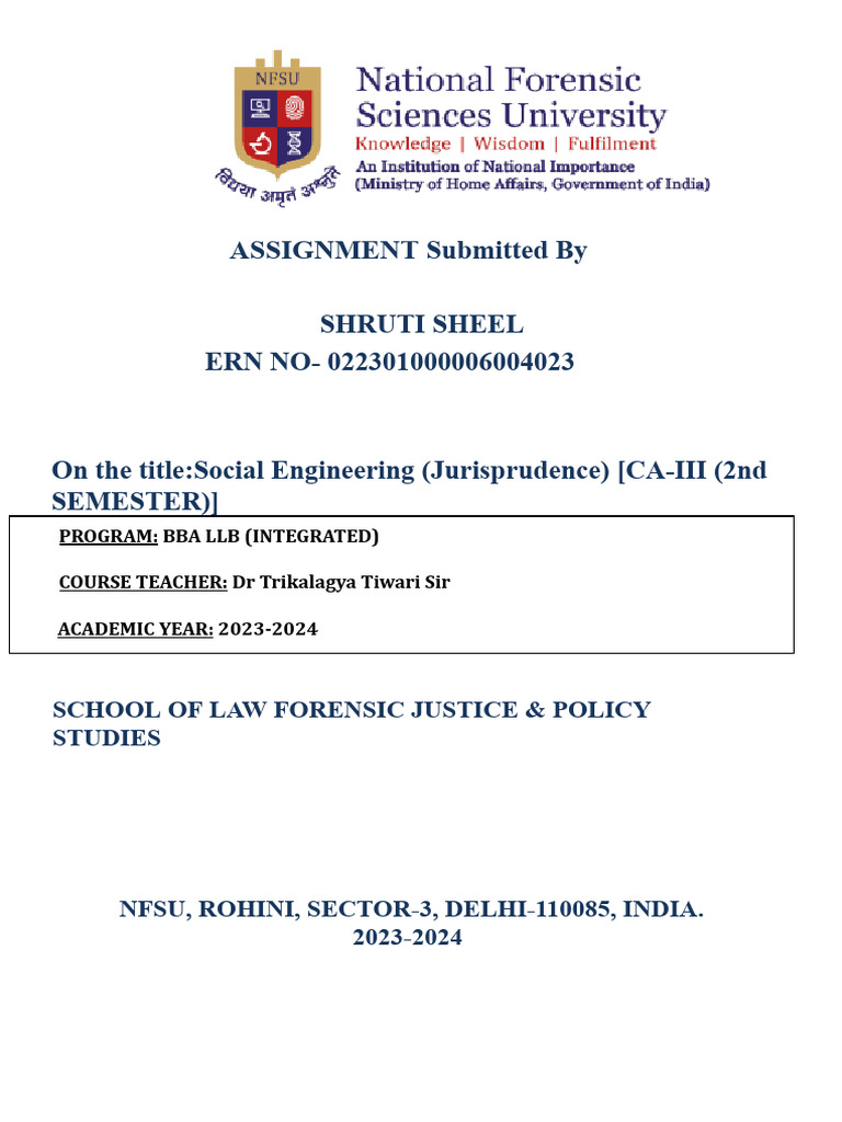 Jurisprudence Assignment | PDF | Legal Liability | Jurisprudence