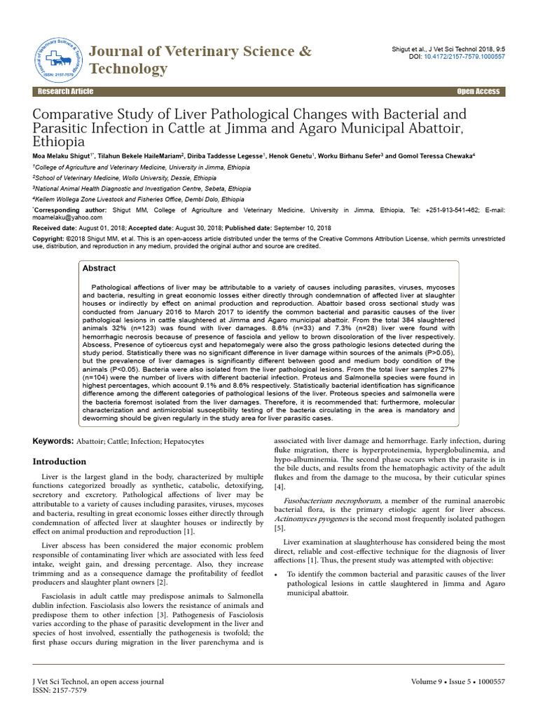 Liver Disease in Animals | PDF | Pathology | Veterinary Medicine