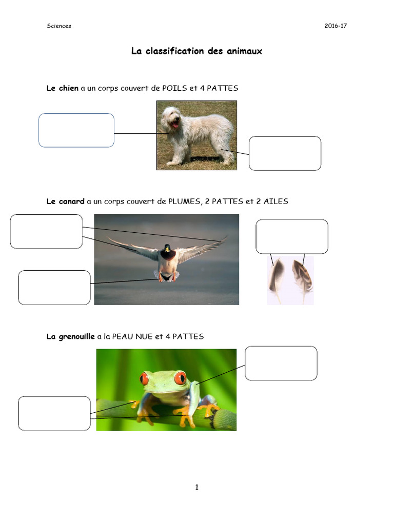 La Classification Des Animaux VOC | PDF