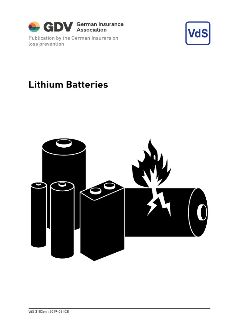 VDS 3103en. Lithium Batteries. 2019 | PDF