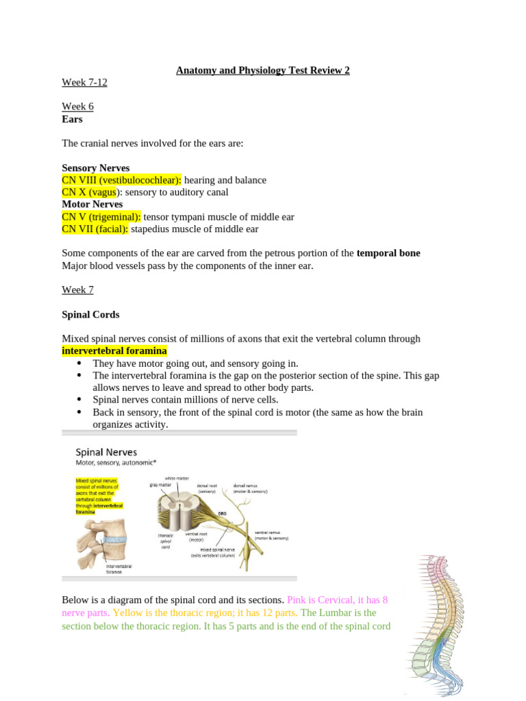 HTHSCI Test Review 2 | PDF