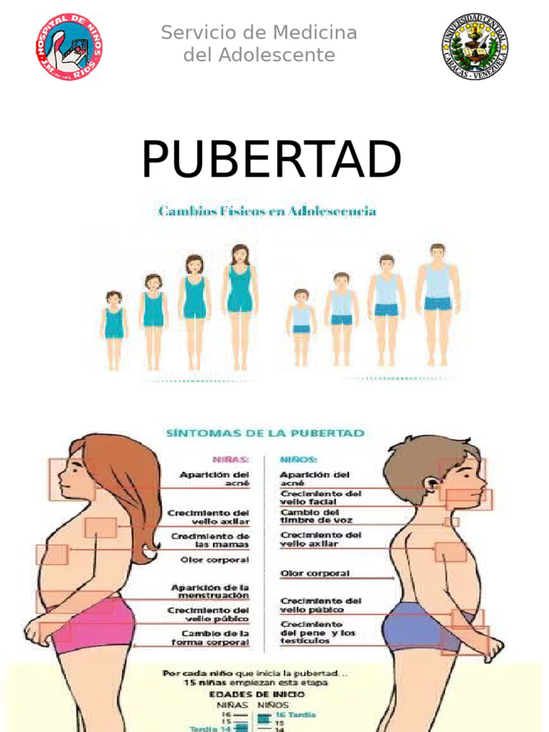 pubertad cambios fisicos | PDF