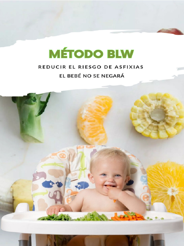 Bono 4 Método BLW | PDF