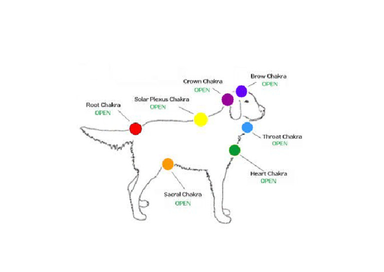 Dog chakras chart | PDF