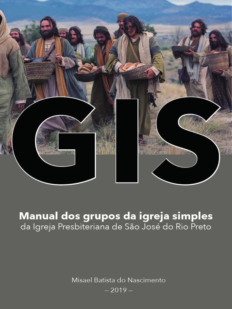 Manual Gis 16-06-2019 Distr | PDF