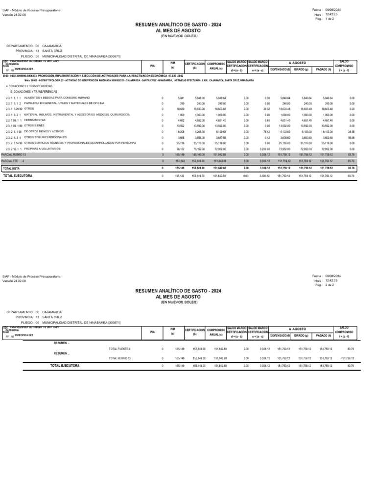 Reporte de Resumen Analítico de Gastos (SIAF - Modulo de | PDF
