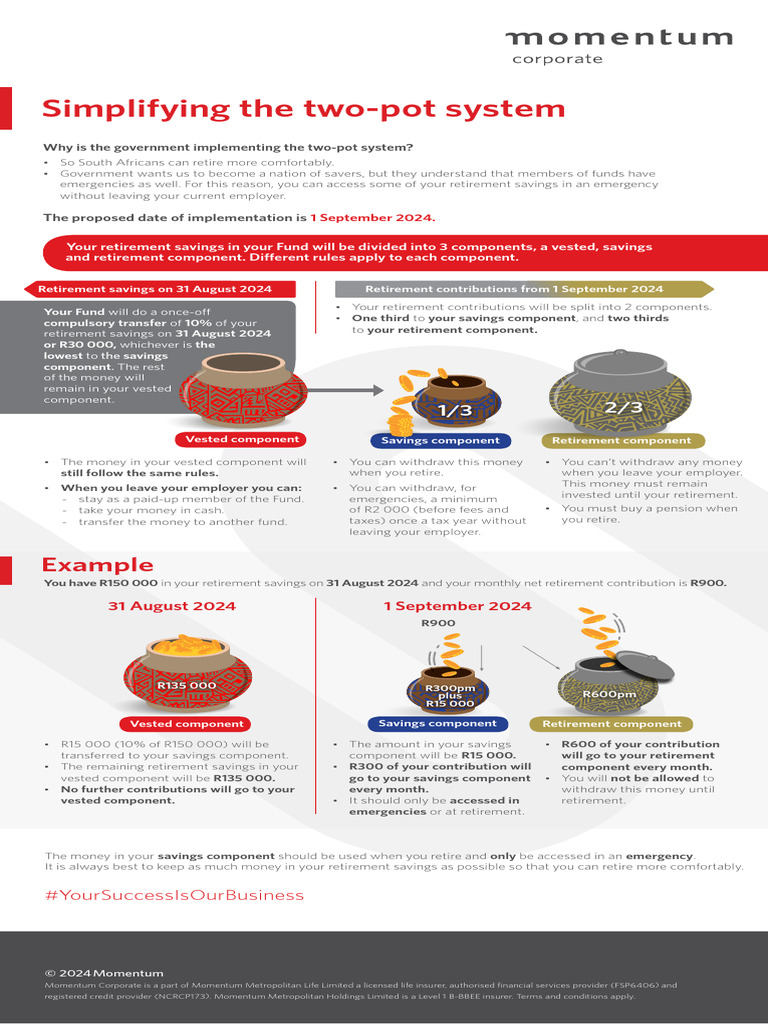Simplifying The 2 Pot System Updated | PDF