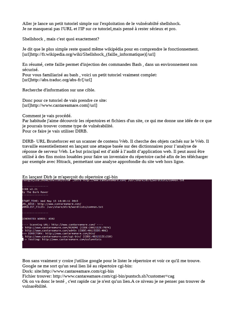 My Shellshock | PDF My Shellshock | PDF