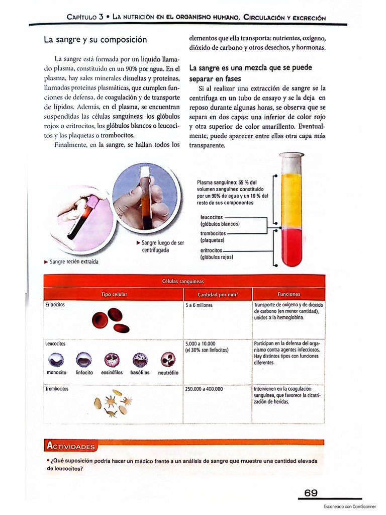 PDF Analisis II | PDF