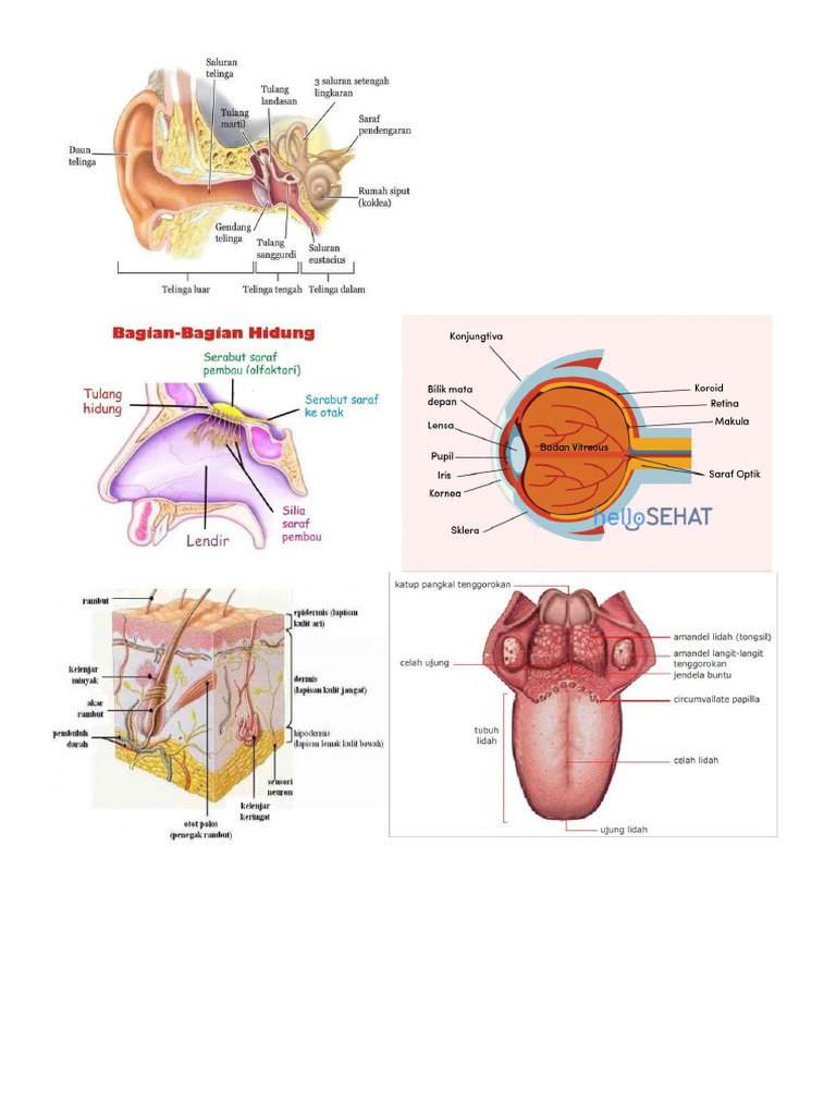 File Gambar Indra | PDF