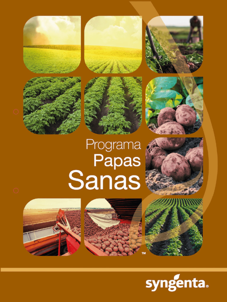 Programas PAPAS 2022 II | PDF