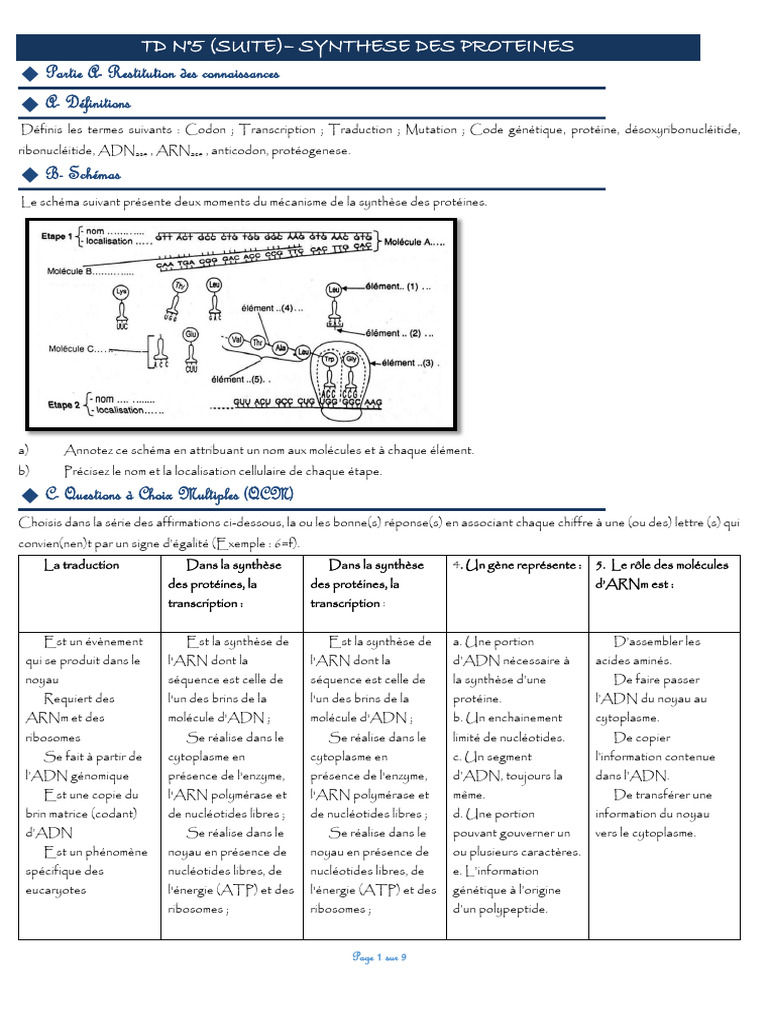 TD Synthese Des Proteines 2024 | PDF