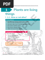 Activity Sheet Where Do Plants Live | PDF | Plants | Habitat