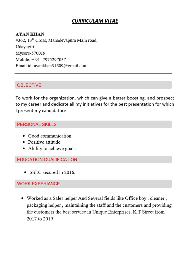 Ayan Resume & Passport | PDF