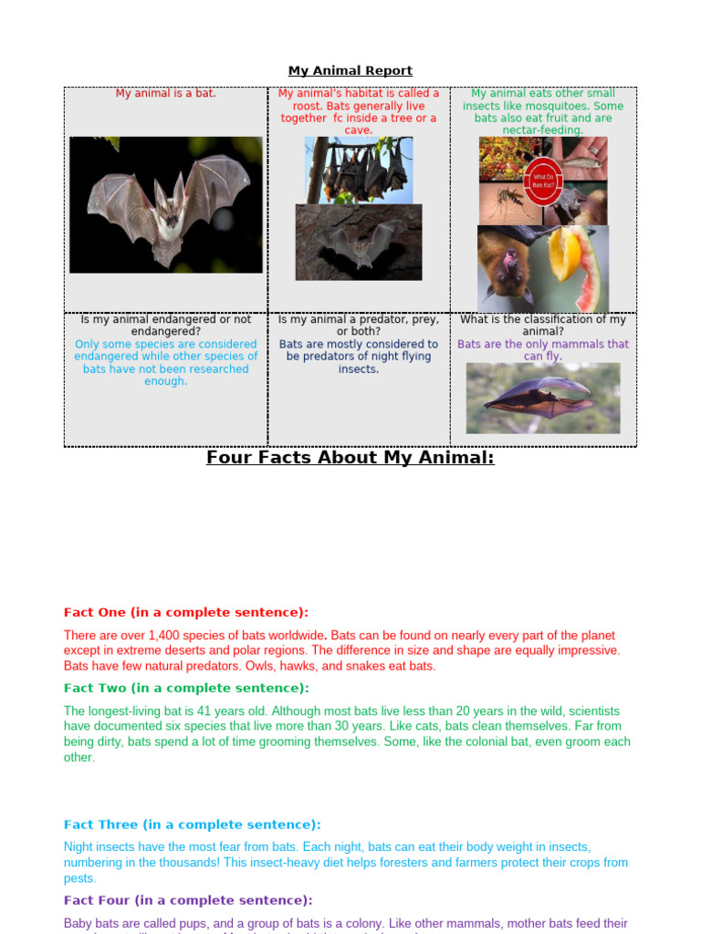 Bats: Facts, Habitat, and Importance | PDF