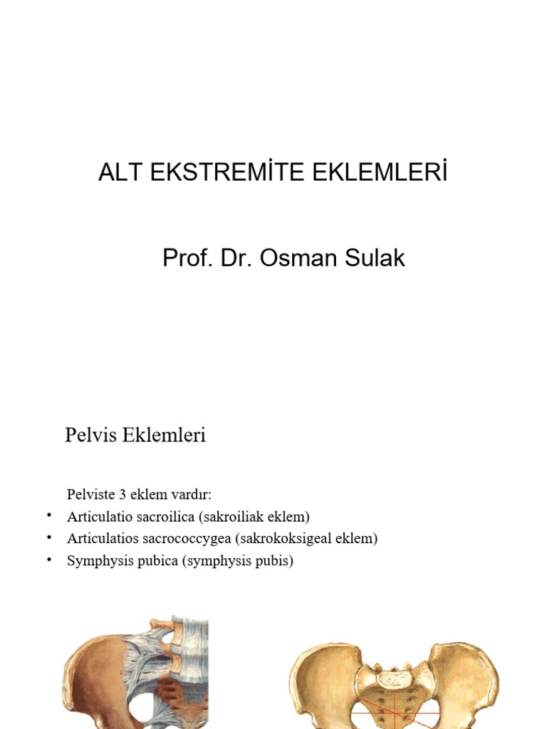 Alt Ext Eklemleri Tip | PDF