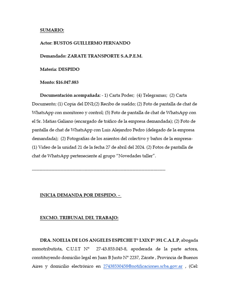 Demanda Bustos | PDF