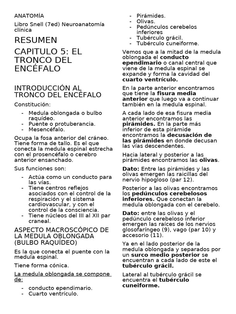 Resumen Capitulo 5 | PDF