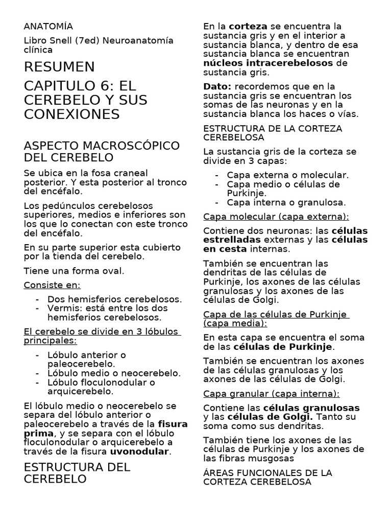 Resumen Capitulo 6 | PDF