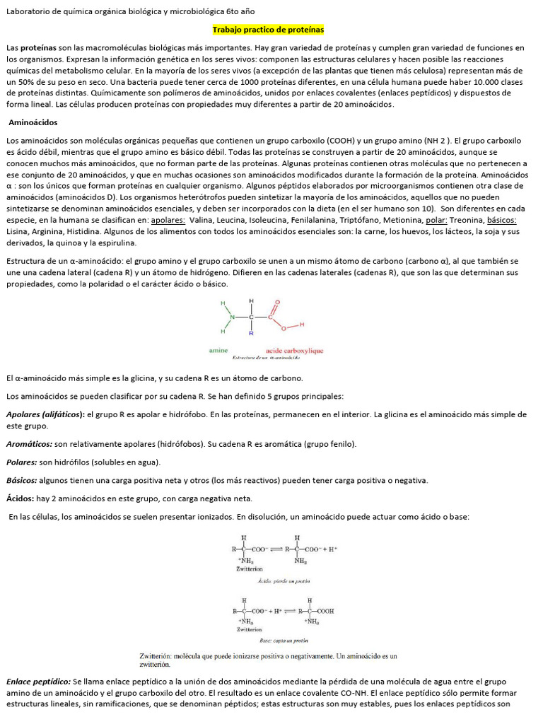 TP N°9 Proteinas | PDF