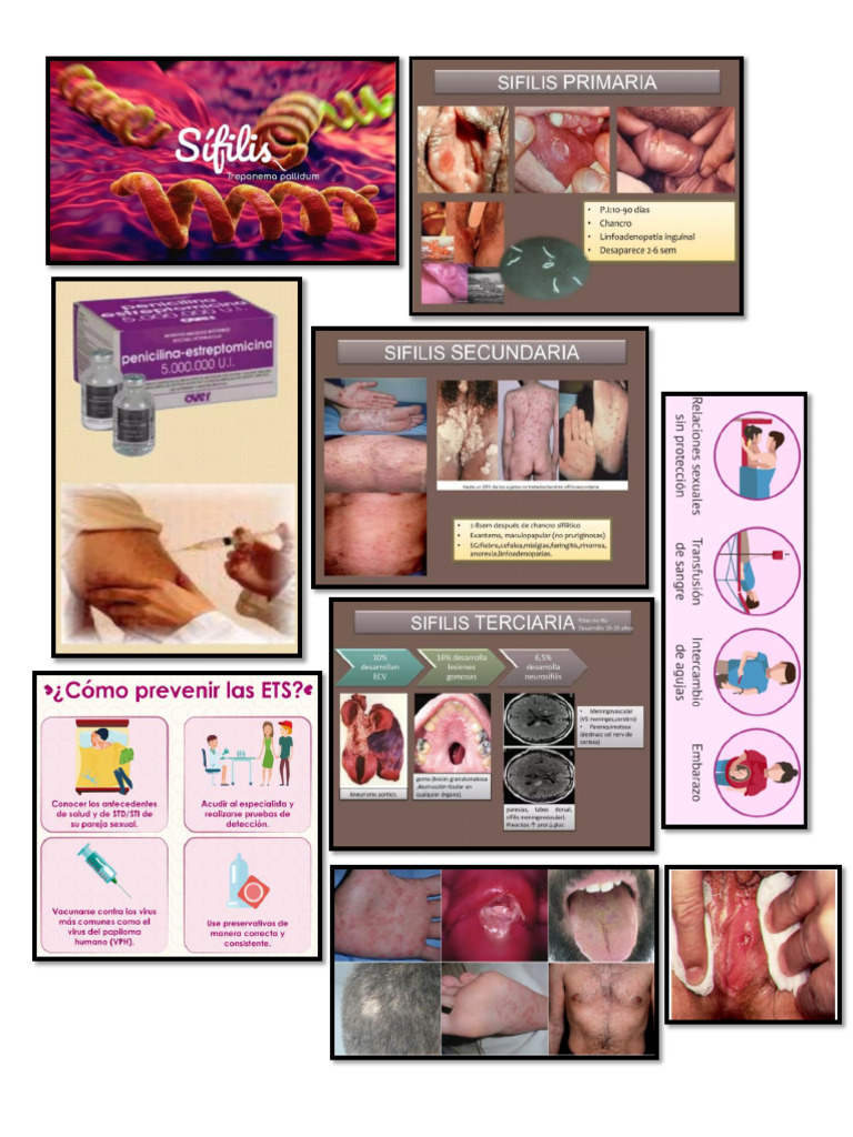 Ets Imagenes 2024 5to | PDF