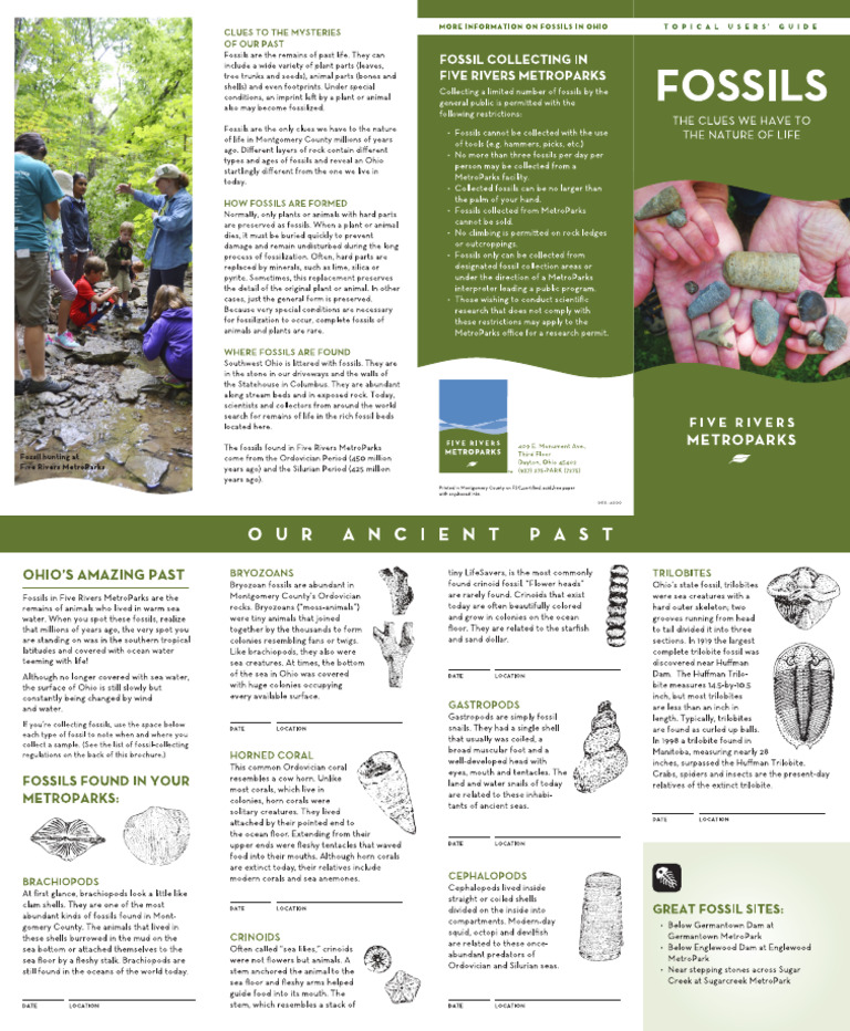 MetroParks Fossil Brochure | PDF
