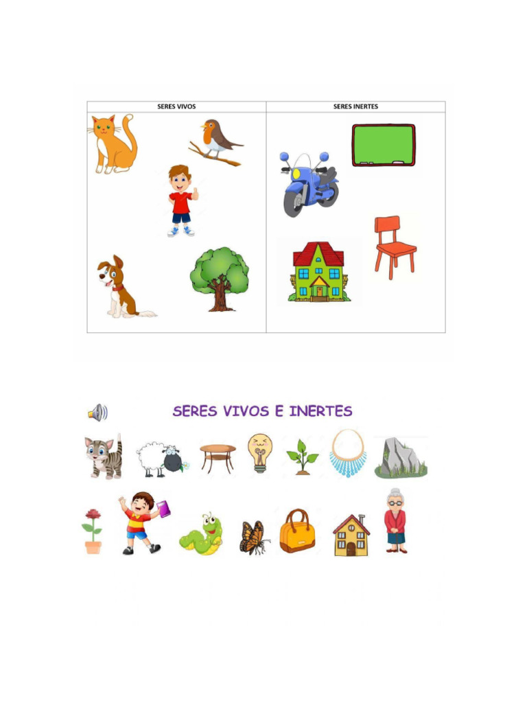 Documento Fenix | PDF