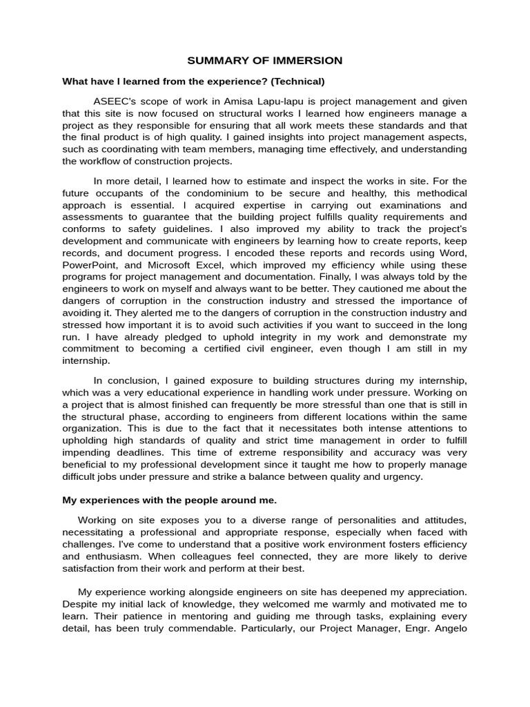 SUMMARY OF IMMERSION Amisa | PDF