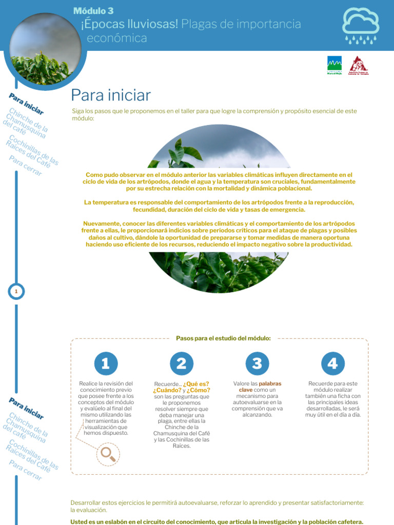 AVC5 Plagas Mod3 Act2023 | PDF