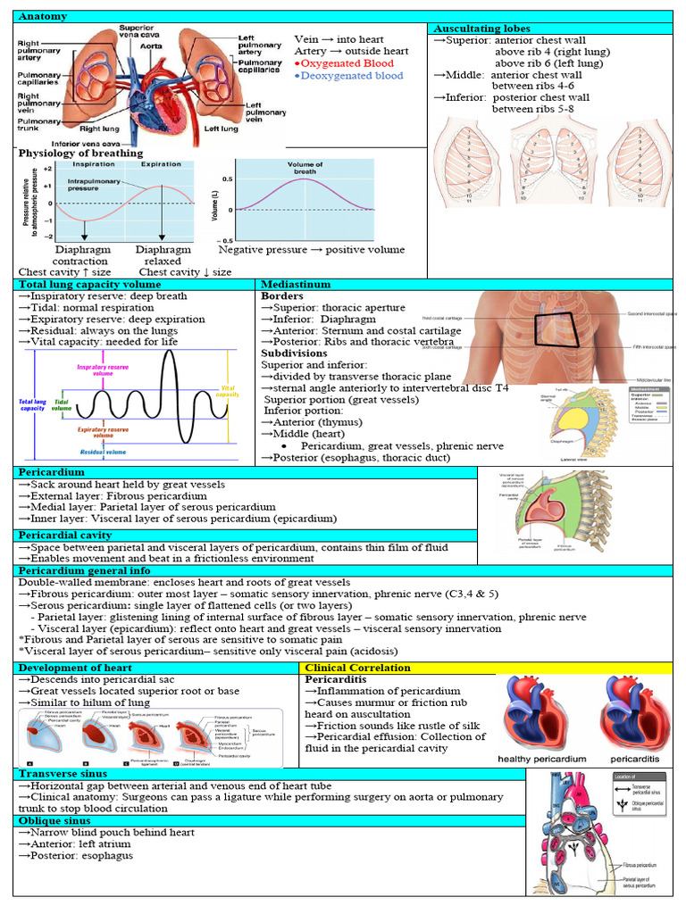 Cardiology Full Review | PDF