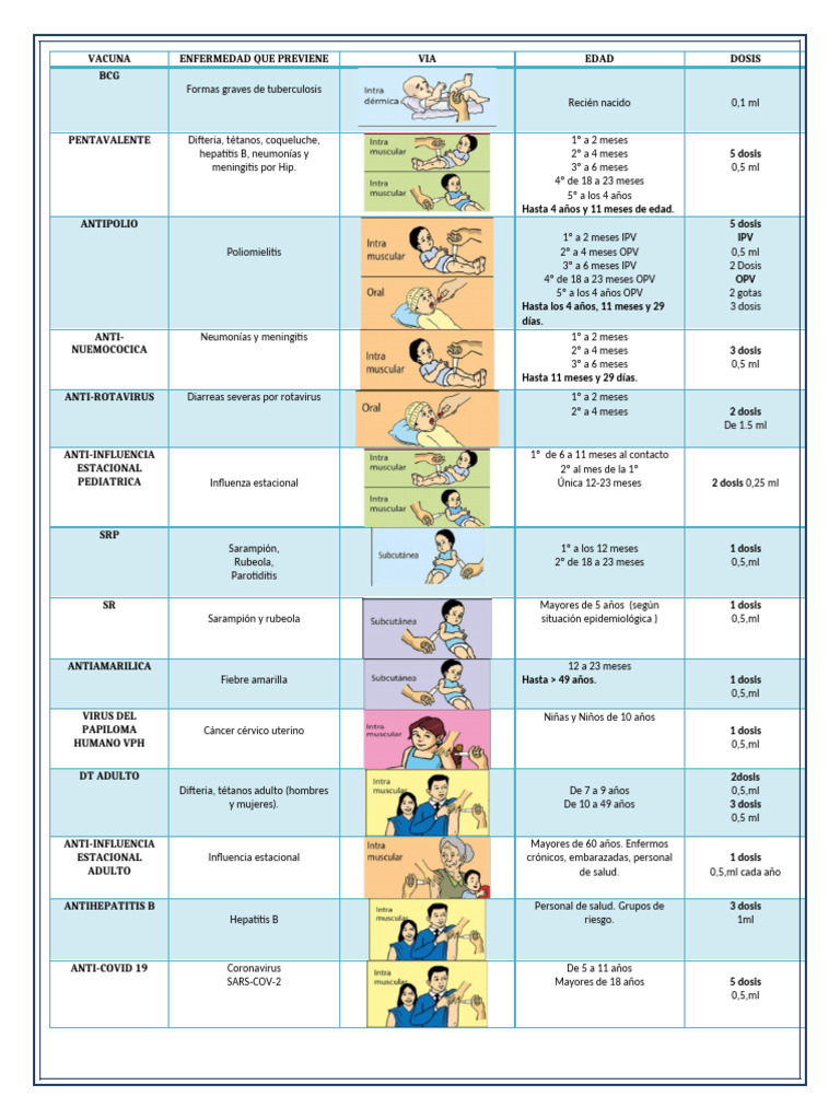 Esquema Del PAI 2024 | PDF