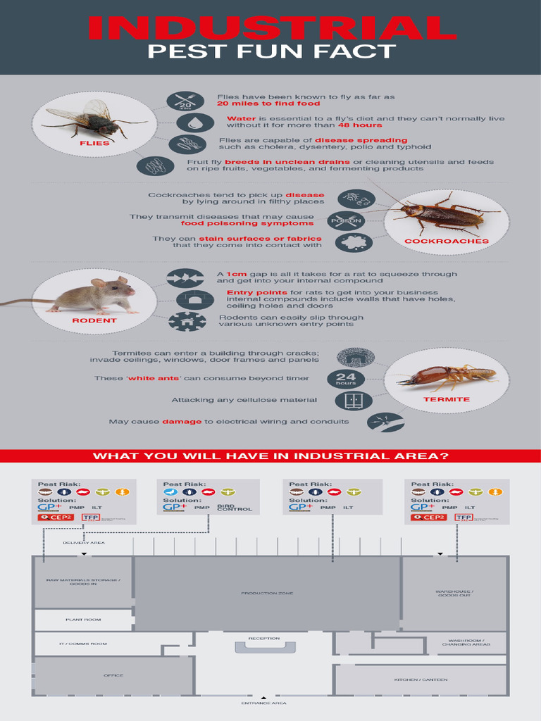 Industrial Pest Fun Fact | PDF