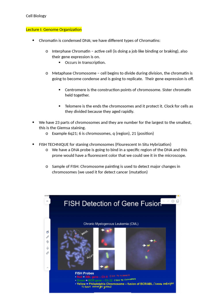 Cell Biology Lectures | PDF