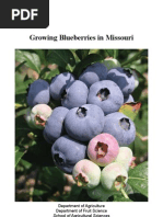 BUNDS | PDF | Surface Runoff | Land Management