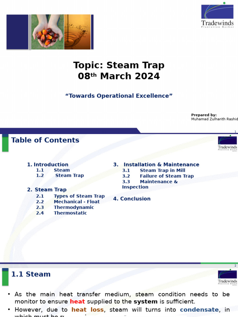 Steam Trap | PDF