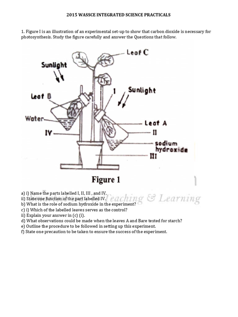 2015 Wassce Integrated Science Practicals | PDF
