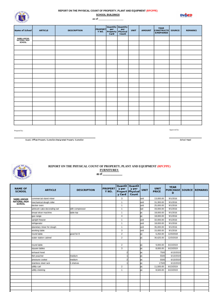 RPCPPE Template 1 | PDF