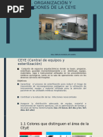 CEYE | PDF | Hospital